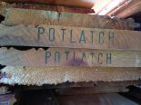Gerry salvages a house full of gorgeous vintage knotty pine - pickwick ...